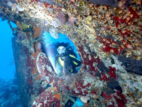 Blue Cast List | Blue Movie Star Cast | Release Date | Movie Trailer ...