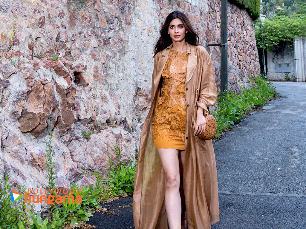 Diana Penty Wallpapers | diana-penty-1-66 - Bollywood Hungama