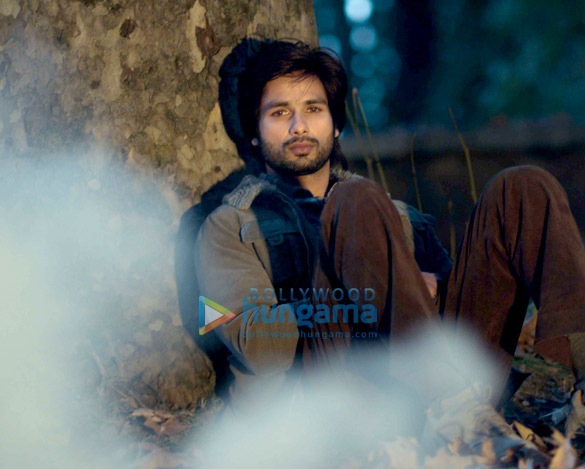 Haider Photos, Poster, Images, Photos, Wallpapers, HD Images, Pictures ...