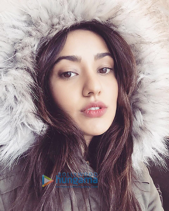 Neha Sharma Photos, Images, HD Wallpapers, Neha Sharma HD Images ...