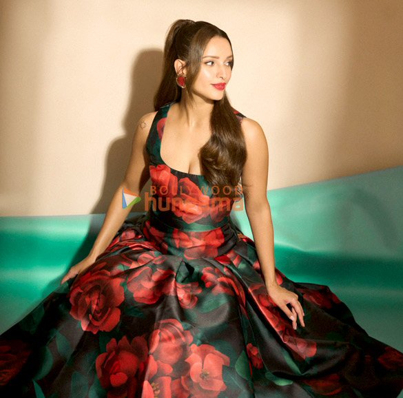 Triptii Dimri Wallpapers | triptii-dimri-17 - Bollywood Hungama