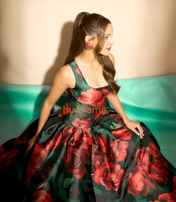 Triptii Dimri Wallpapers | triptii-dimri-20 - Bollywood Hungama