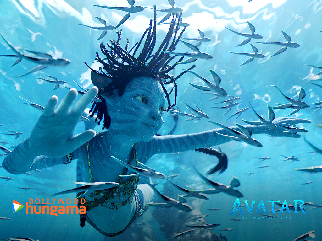 Avatar: The Way of Water (English) 2022 Wallpapers | Avatar: The Way of Water (English) 2022 HD ...