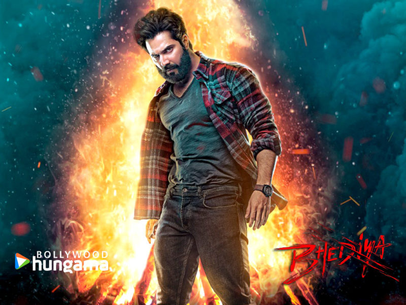 Bhediya Photos, Poster, Images, Photos, Wallpapers, HD Images, Pictures ...