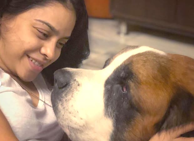 Sumona Chakravarti of The Kapil Sharma Show bids adieu to her pet dog ...