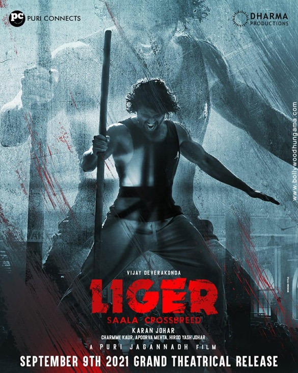 Liger First Look - Bollywood Hungama