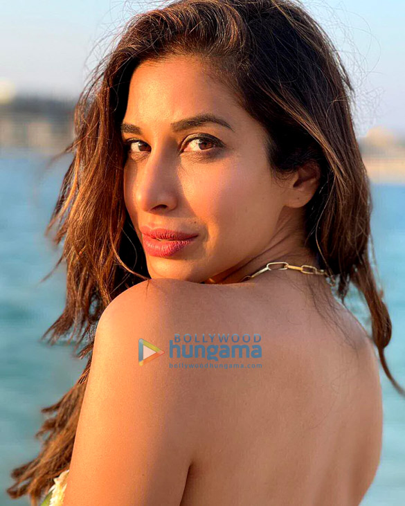 Sophie Choudry Photos, Images, HD Wallpapers, Sophie Choudry HD Images ...