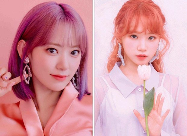 Former IZ*ONE members Miyawaki Sakura and Kim Chaewon sign with Source ...