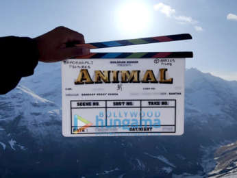 Animal Movie: Review | Release Date (2023) | Songs | Music | Images ...