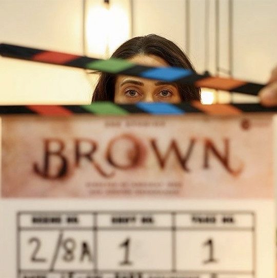 Karisma Kapoor announces Brown as her new project; sister Kareena ...