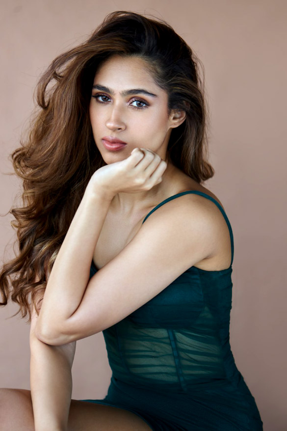 Pashmina Roshan Hit Movies List | Pashmina Roshan Box Office Collection ...