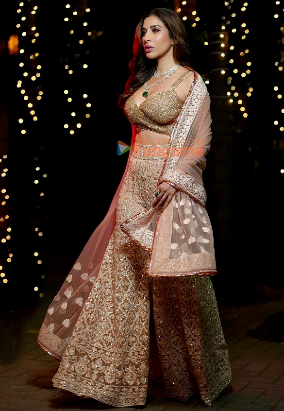 Sophie Choudry Photos, Images, HD Wallpapers, Sophie Choudry HD Images ...