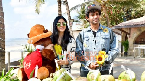 Sunflower | Latest Bollywood News | Top News of Bollywood - Bollywood ...
