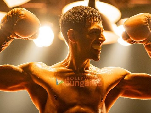 Chandu Champion Movie: Review | Release Date (2024) | Songs | Music ...