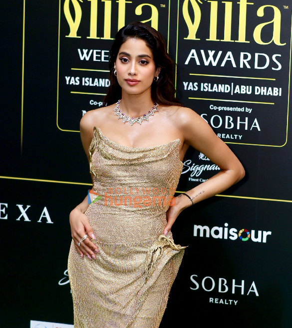 Photos Shah Rukh Khan, Rani Mukerji, Kriti Sanon, Janhvi Kapoor and others grace the green ...